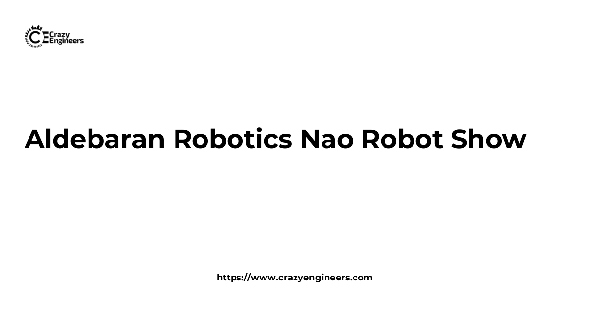 Aldebaran Robotics Nao Robot Show | CrazyEngineers