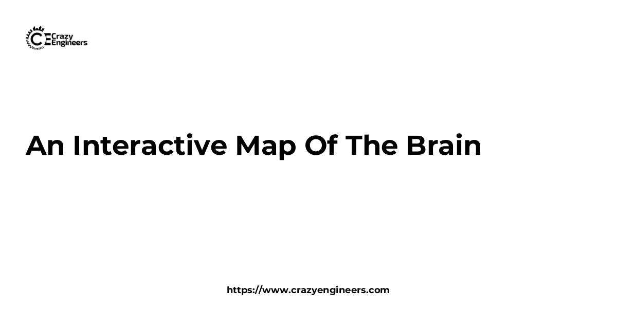 An Interactive Map Of The Brain | CrazyEngineers