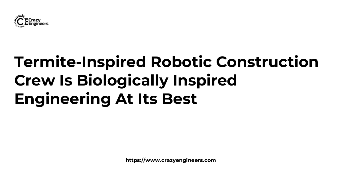 Termite-Inspired Robotic Construction Crew Is Biologically Inspired Engineering At Its Best ...