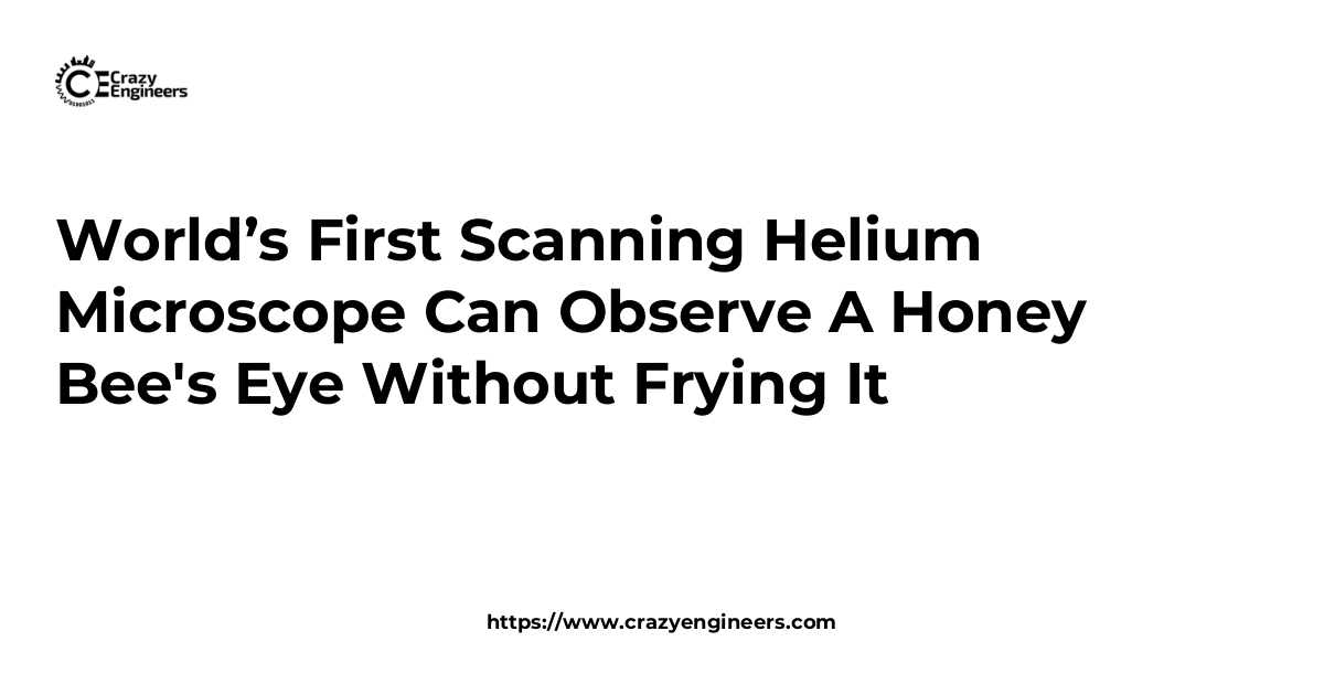 World’s First Scanning Helium Microscope Can Observe A Honey Bee's Eye ...